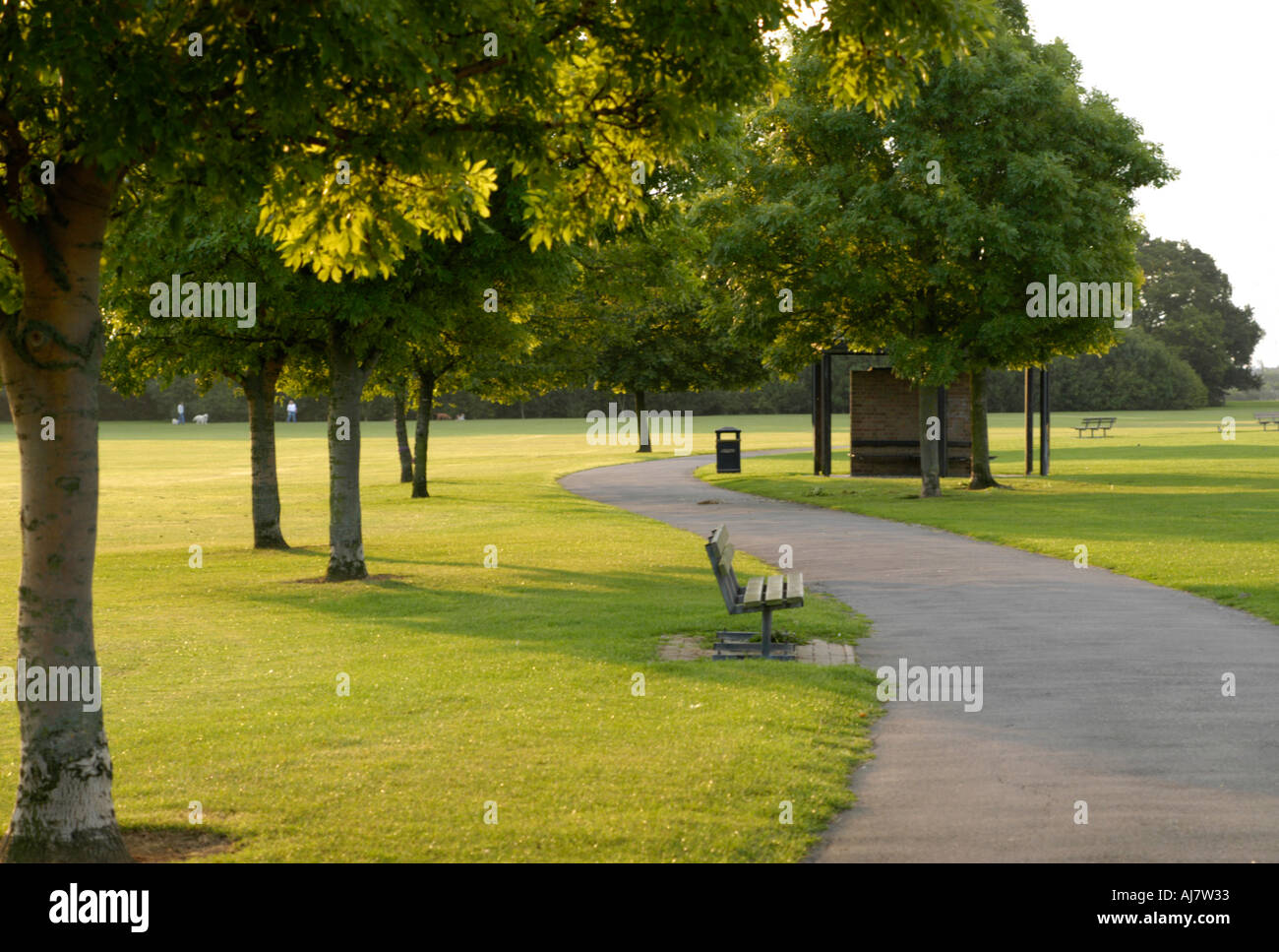 park pathway with trees in bedford uk england Stock Photo - Alamy