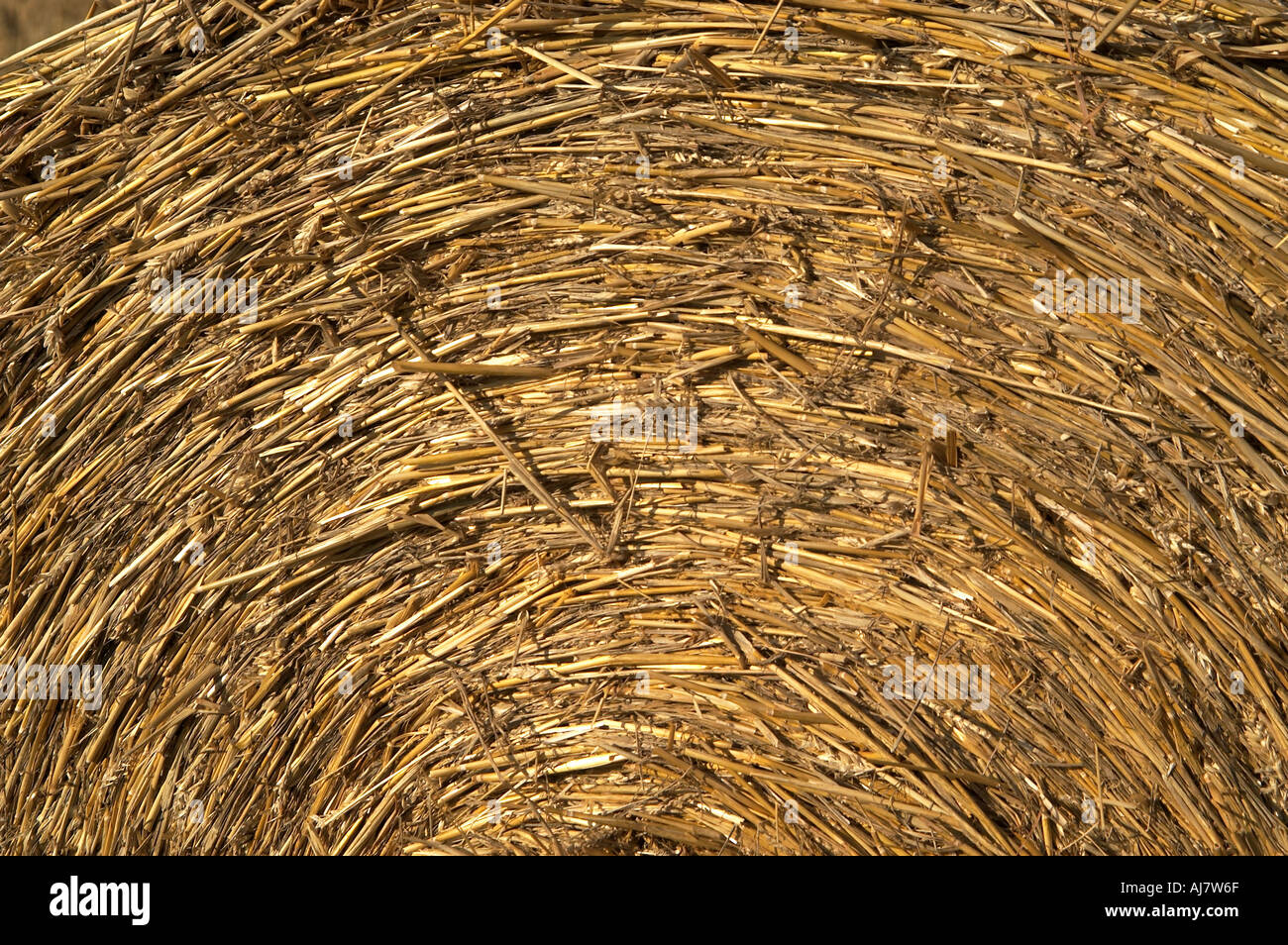 Bail of straw hi-res stock photography and images - Alamy