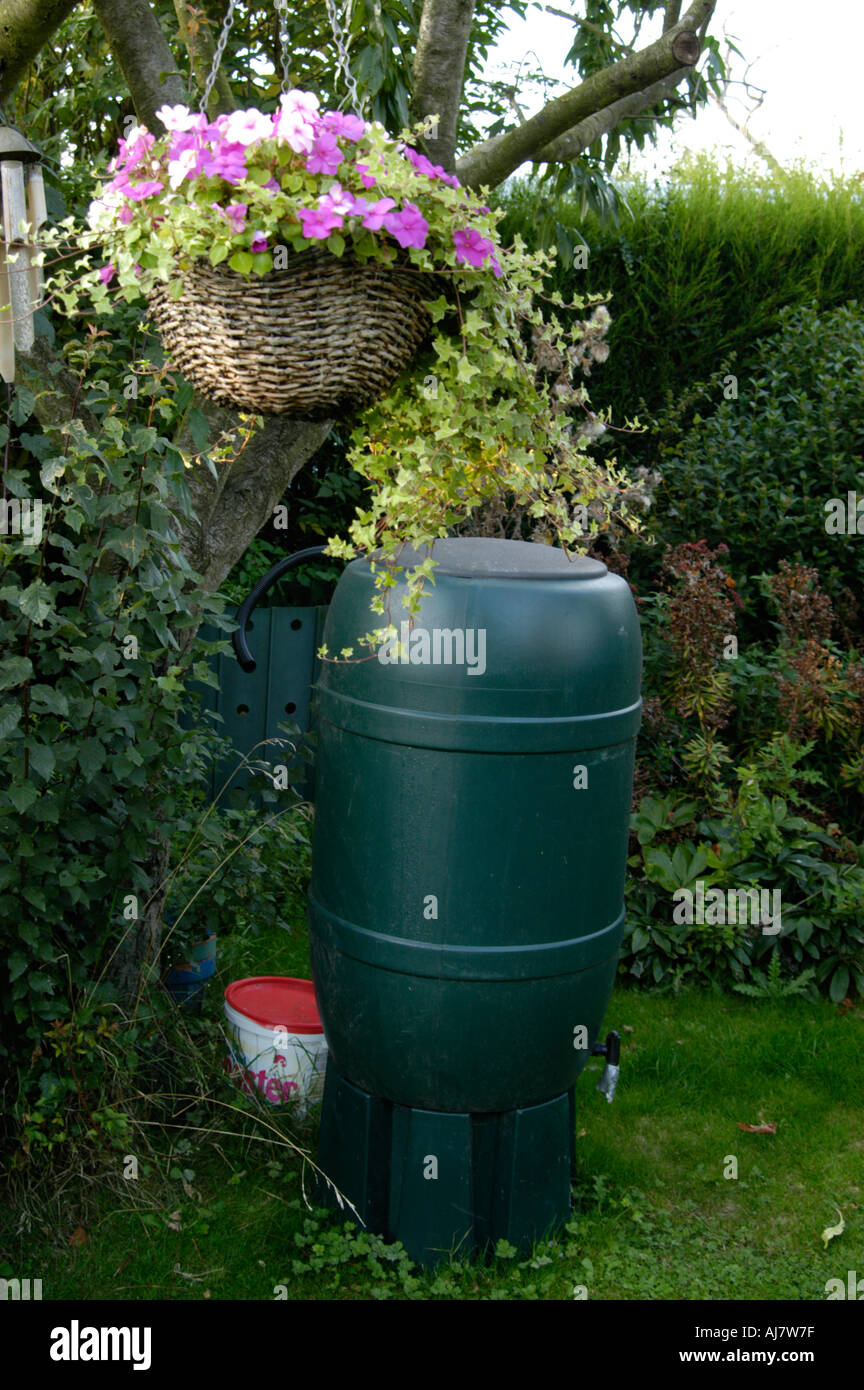 rainwater butt in english garden Stock Photo - Alamy