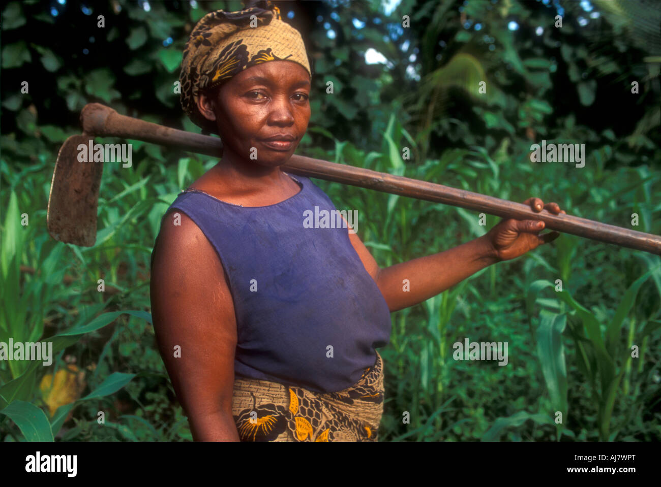 Hoe tool hi-res stock photography and images - Alamy