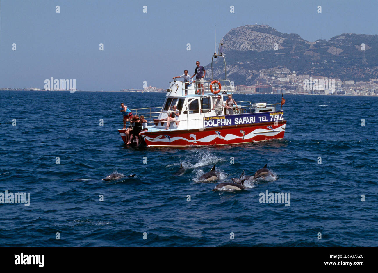 Women swimming with dolphins hi-res stock photography and images - Alamy