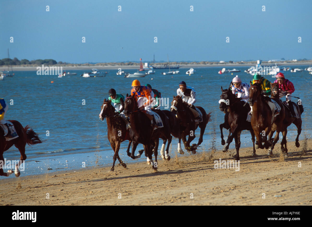 Horses racing down the beach during the carreras de caballos beach ...