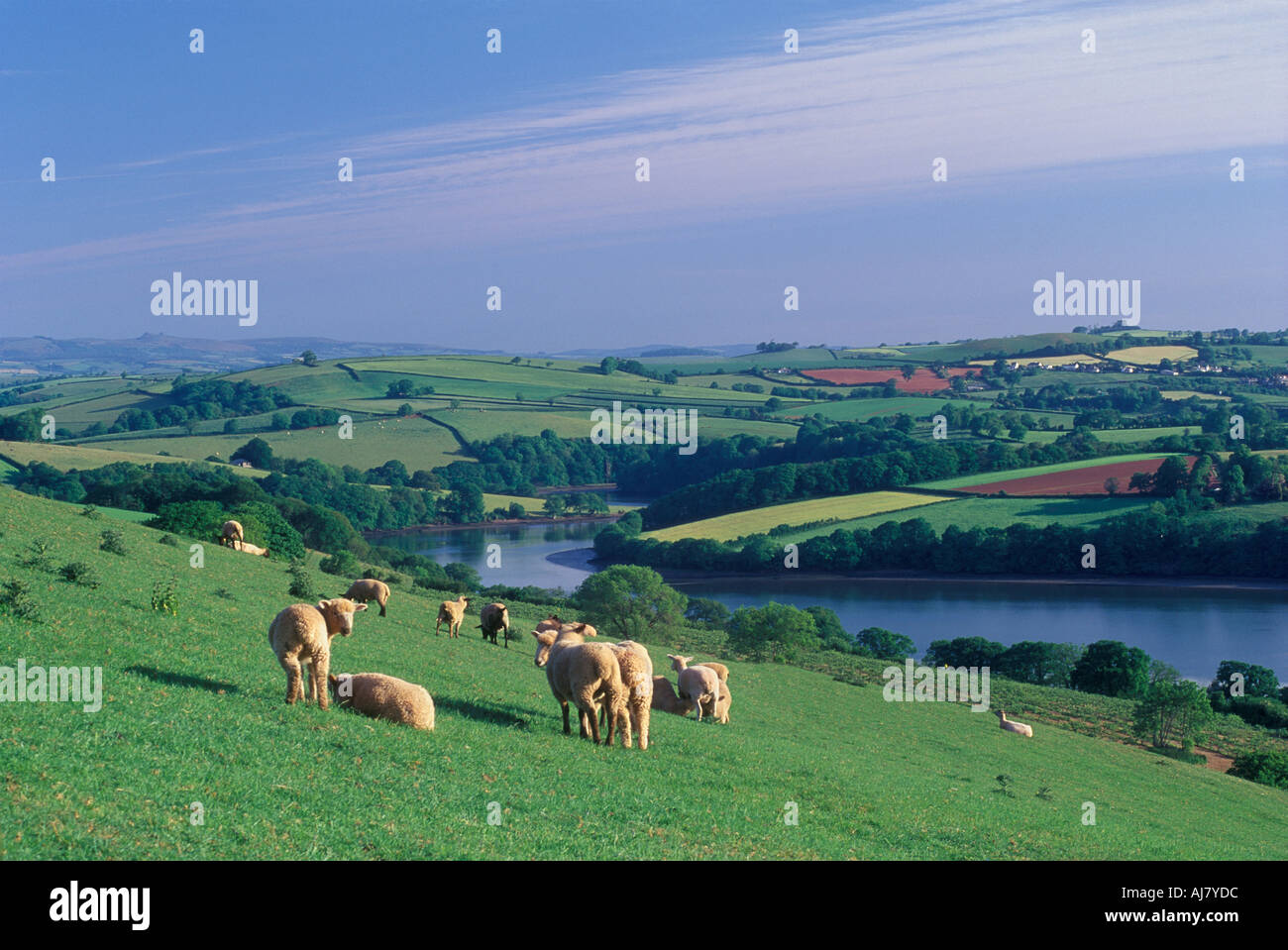View of the River Dart as it meanders past Duncannon near Stoke Gabriel ...