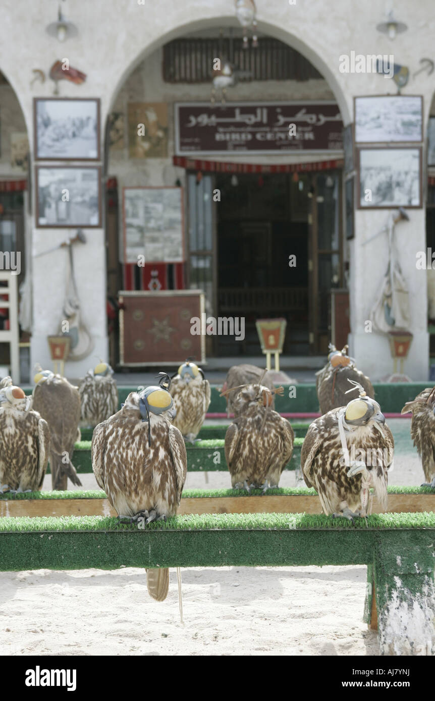 Doha bird hi-res stock photography and images - Alamy