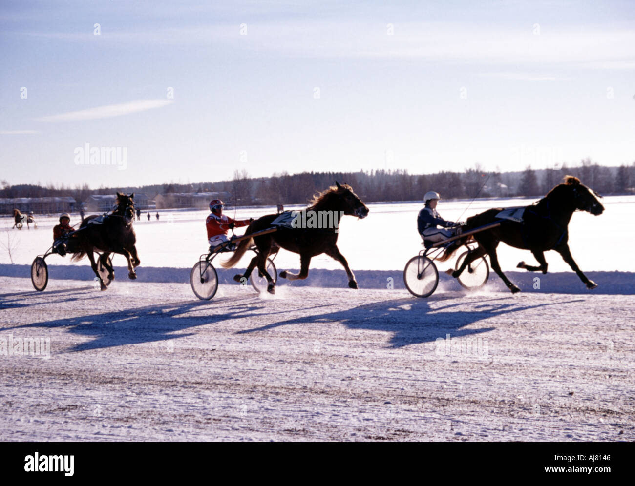 Horse winter harness racing hi-res stock photography and images - Alamy