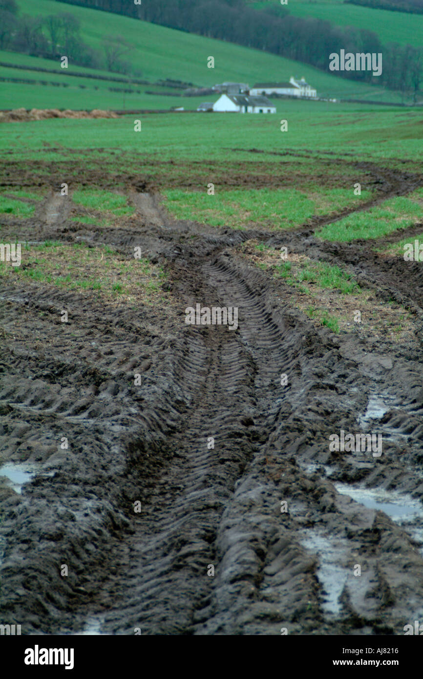 Mud ruts hi-res stock photography and images - Alamy