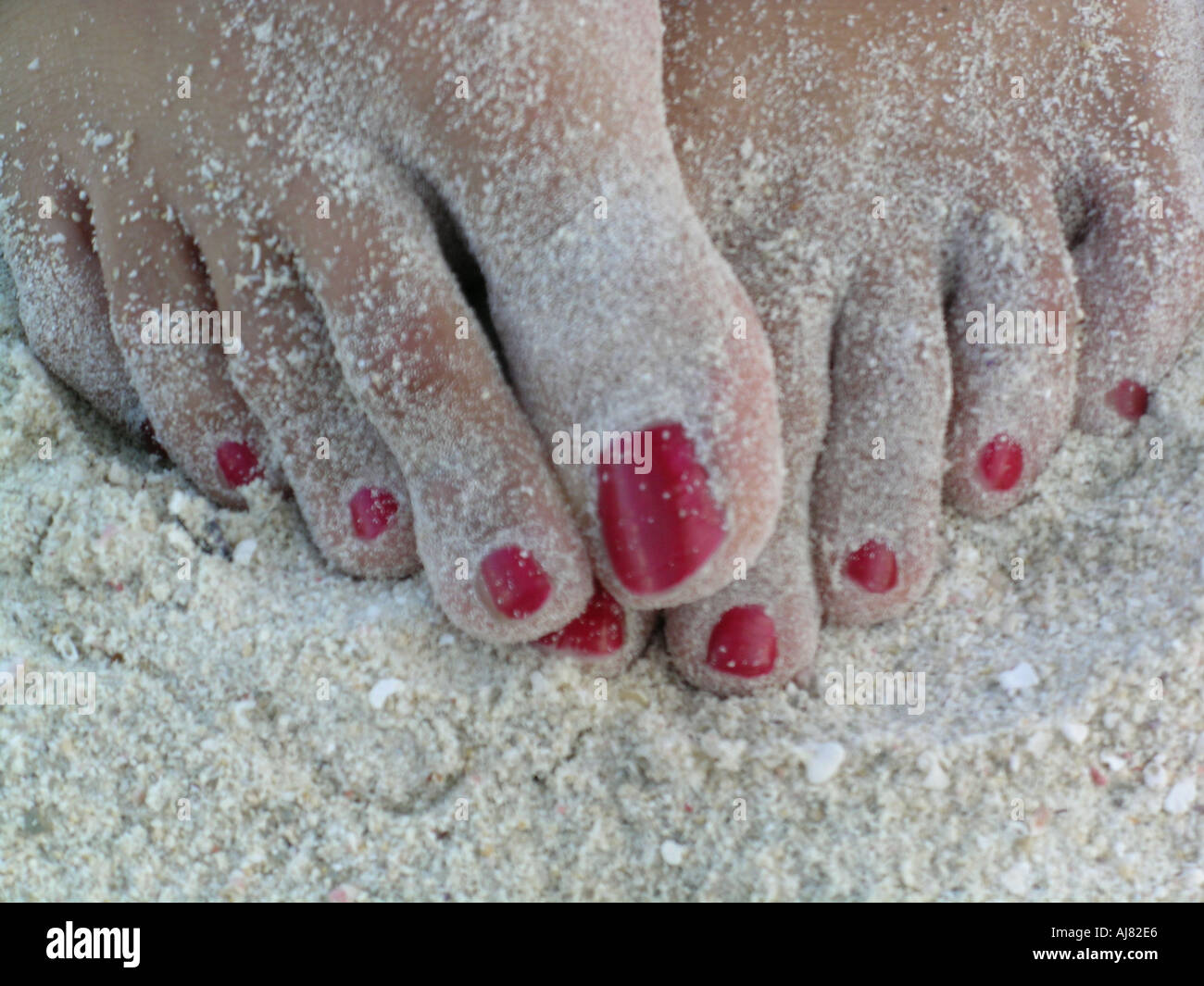 woman's feet with red toenails in sand at beach Stock Photo - Alamy