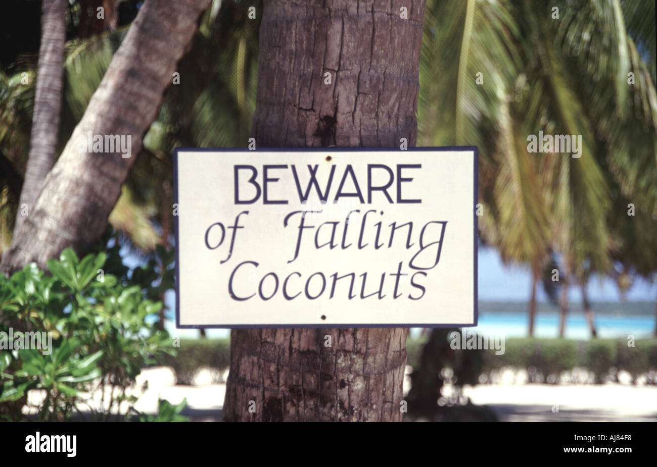 Beware of falling coconuts sign Cook Islands Stock Photo - Alamy