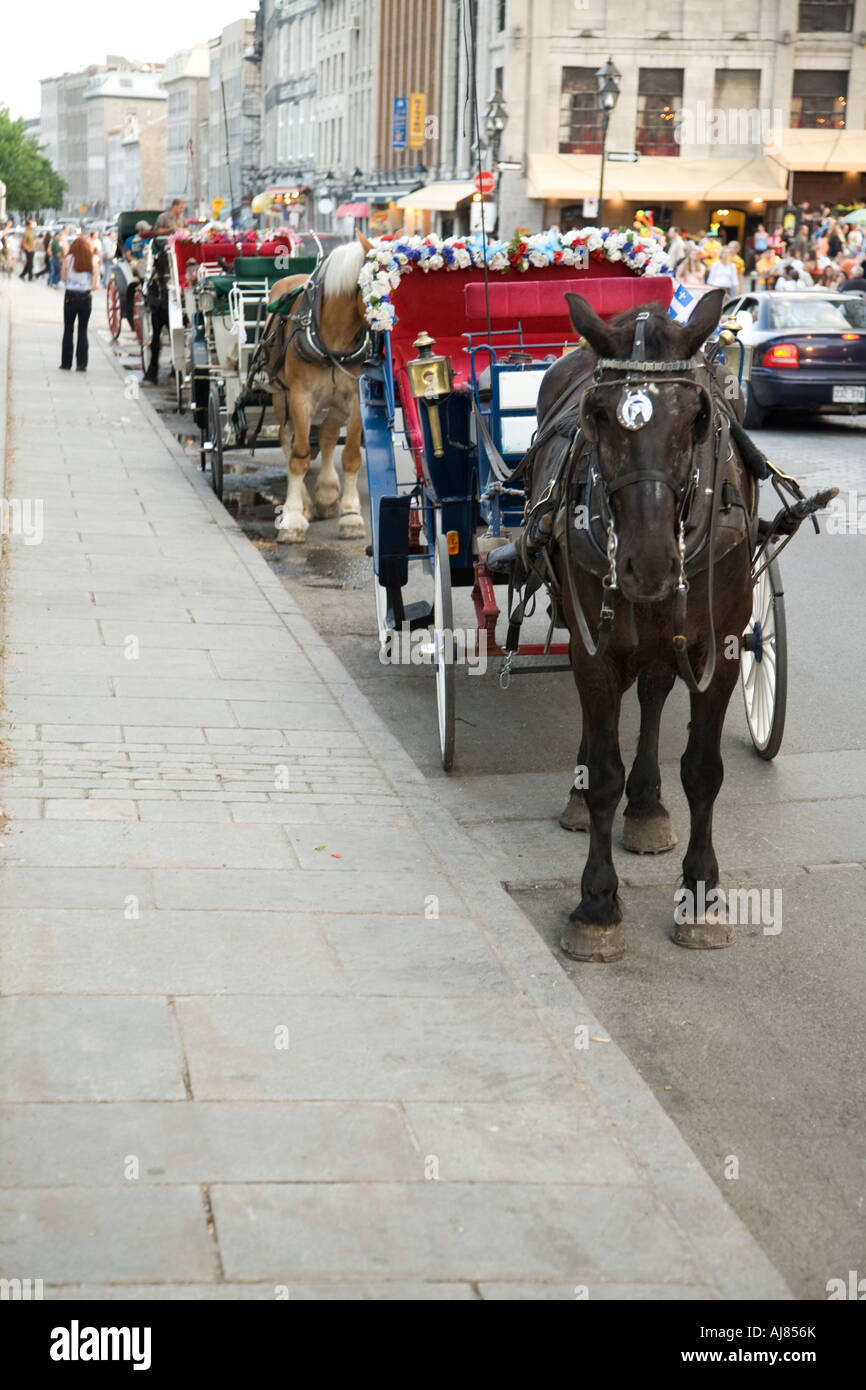 Traditional horse drawn carriage in Old Montreal Qubec Canada Stock ...