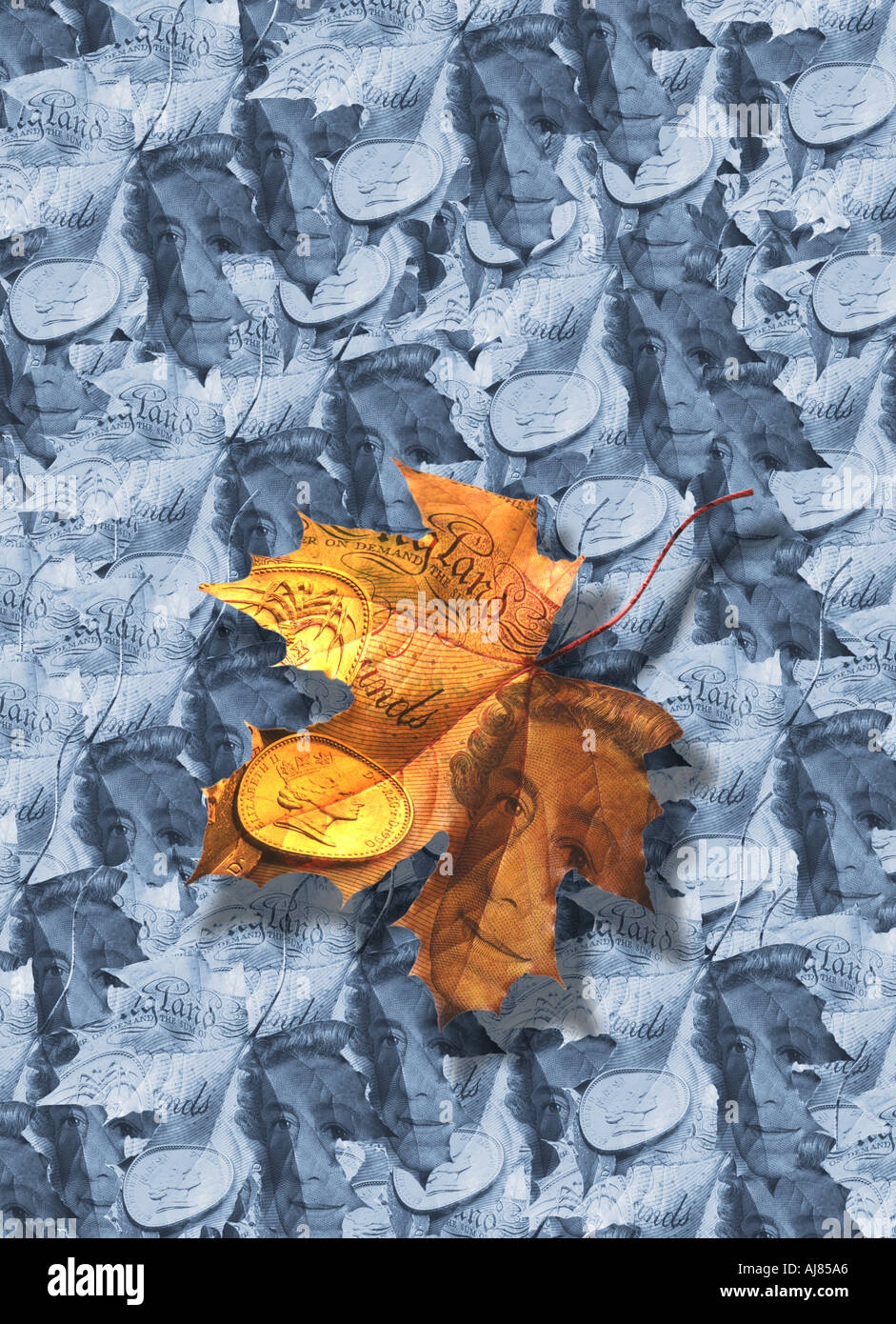 Money falling on trees hi-res stock photography and images - Alamy