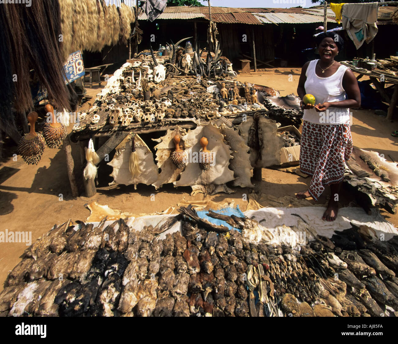 Voodoo Fetish Market, Lome, Togo Stock Photo - Alamy Voodoo Fetish Market, Lome, Togo Stock Photo - Alamy