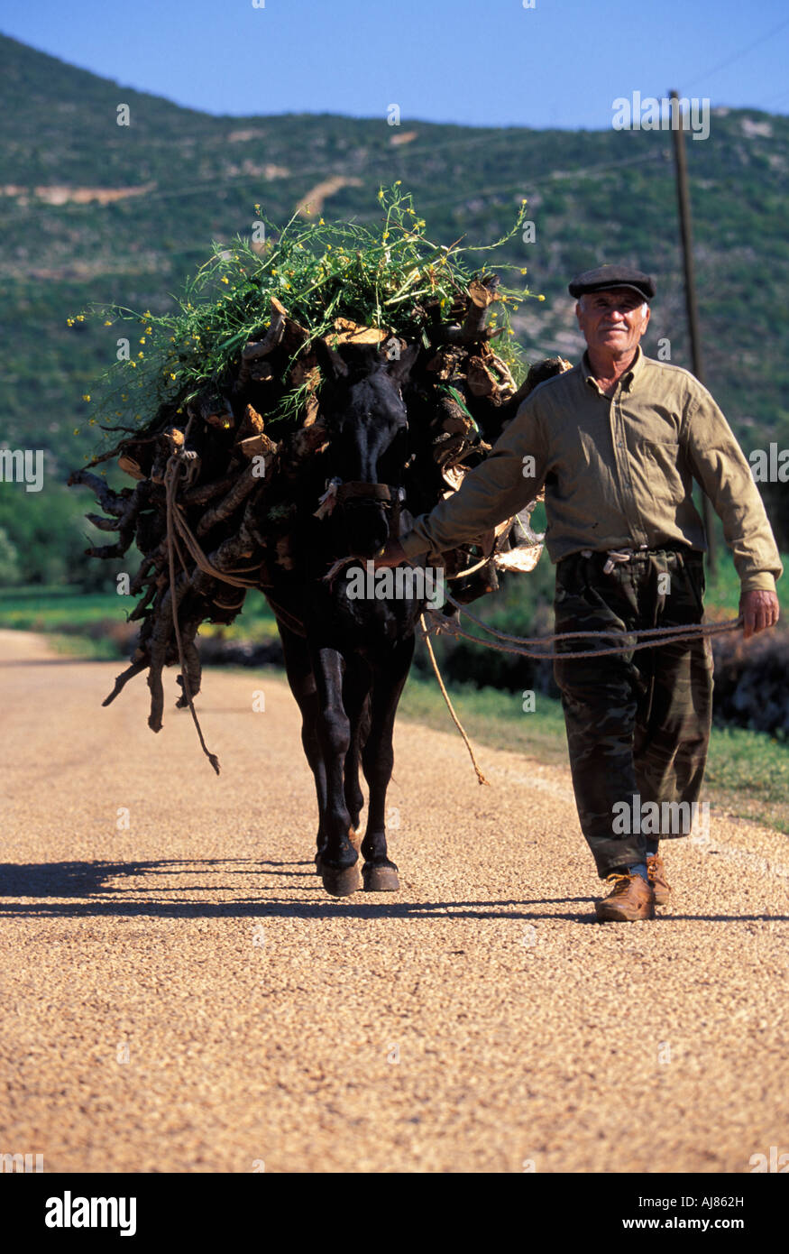 Farmer with mule Kilinci Kale Turkish Aegean Sea Turkey Stock Photo - Alamy