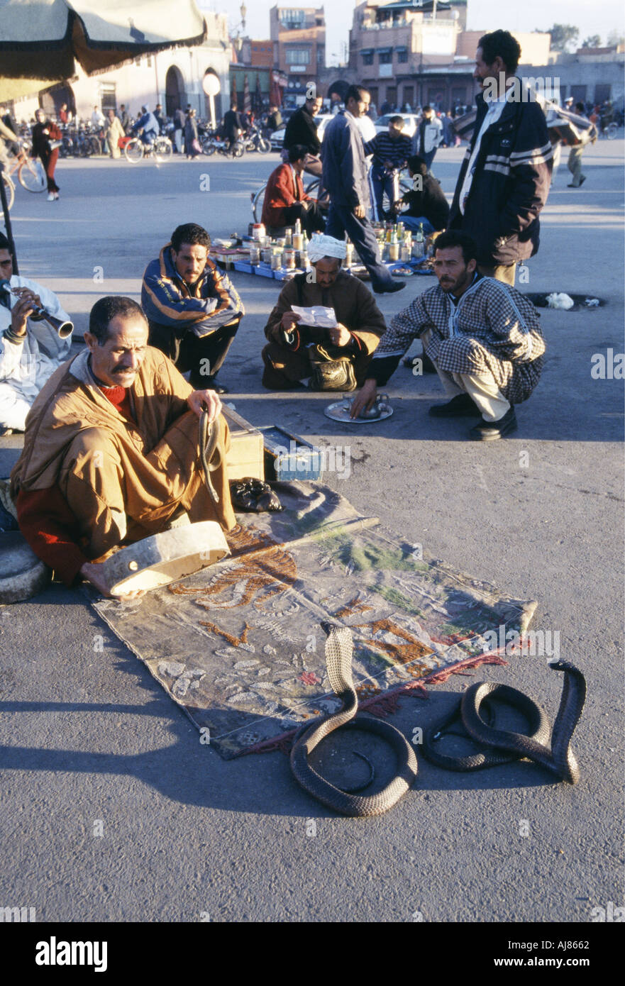 Busy Djemaa el Fna in Marrakech snake charmer with two snakes Morocco ...