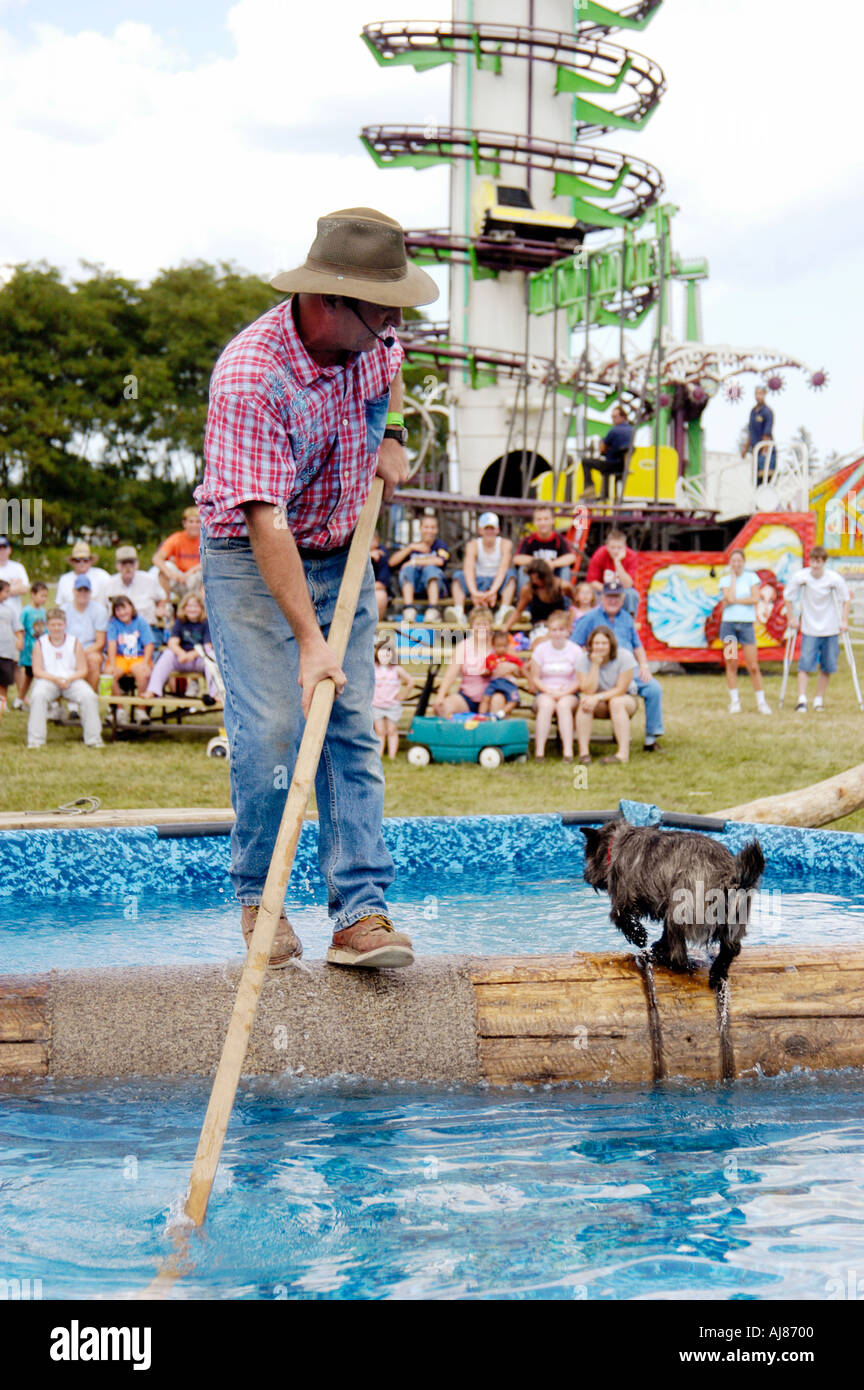 Log Rolling Contest Stock Photo - Alamy