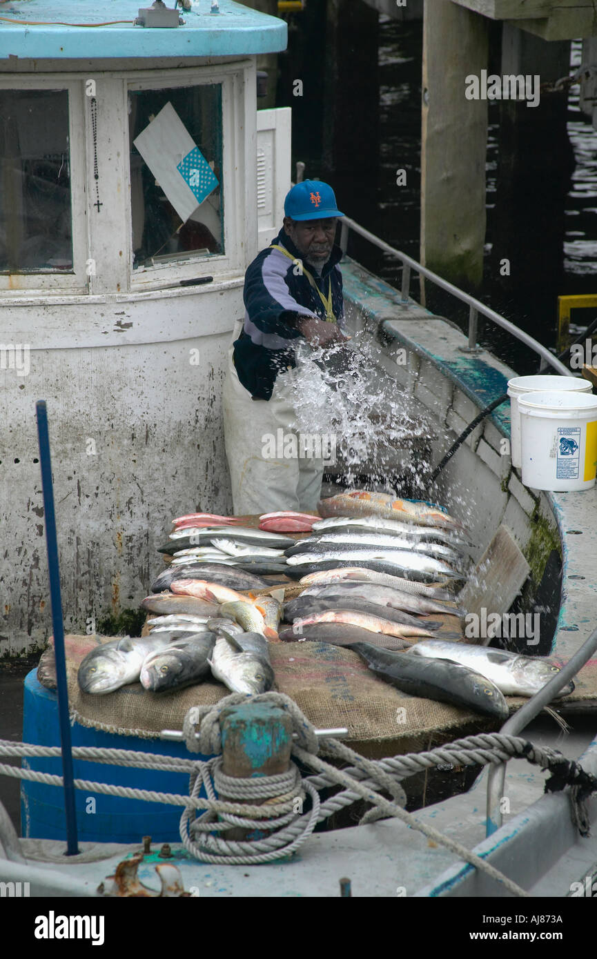 New york commercial fishing hi-res stock photography and images - Alamy