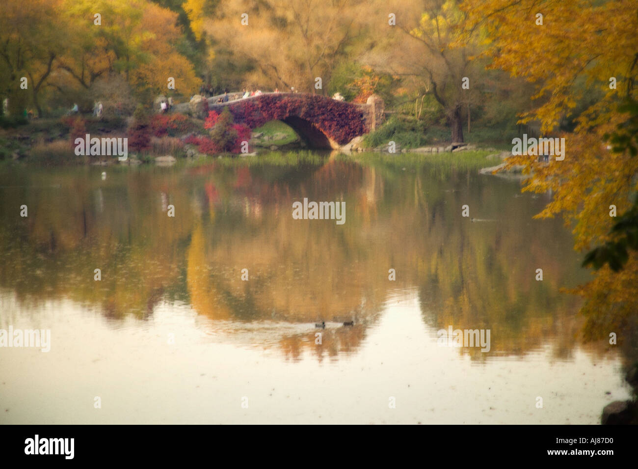The Pond in Central Park in fall Manhattan New York NY Stock Photo - Alamy