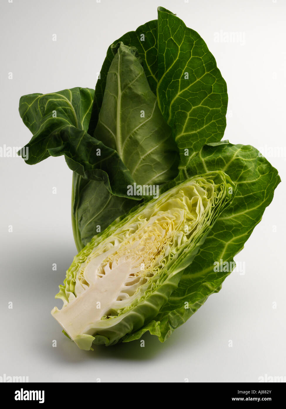 A whole and a cut half sweetheart cabbage on a white background Stock ...