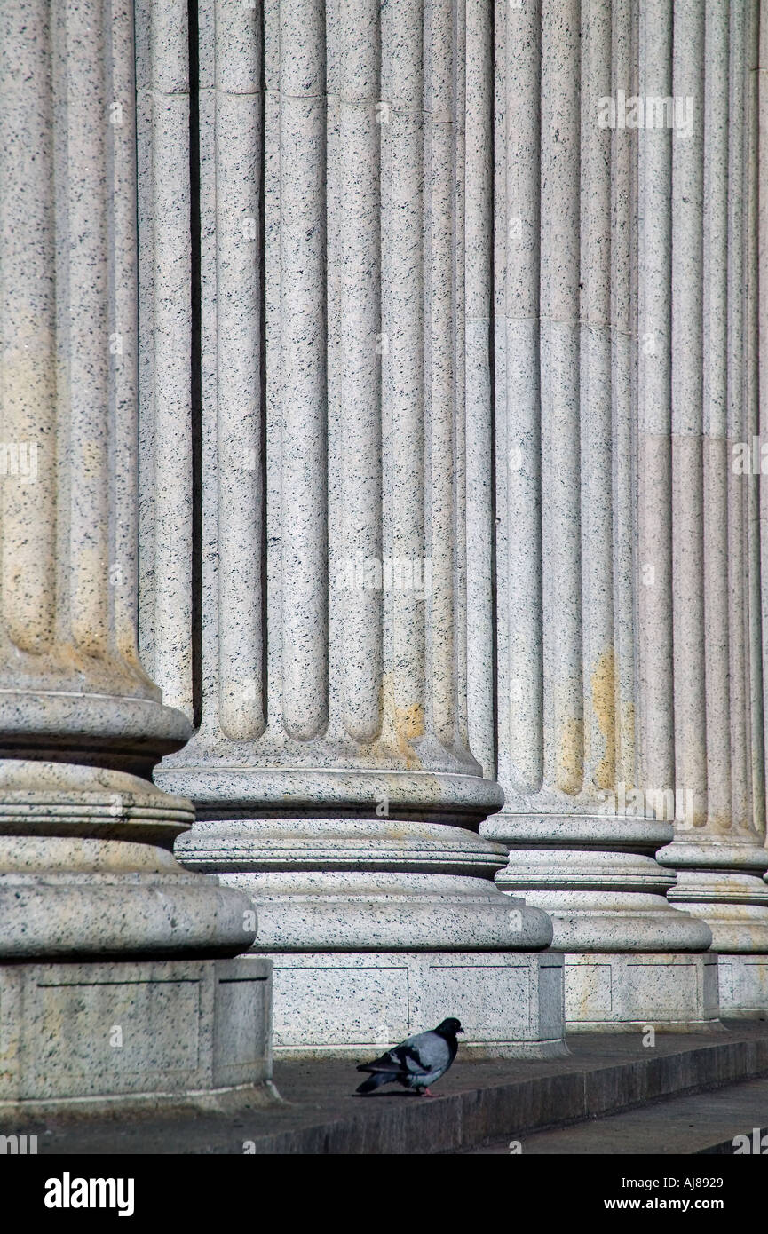 Pigeon And Columns At United States Post Office Buliding In Midtown Manhattan New York NY Stock pigeon-and-columns-at-united-states-post-office-buliding-in-midtown-manhattan-new-york-ny-stock