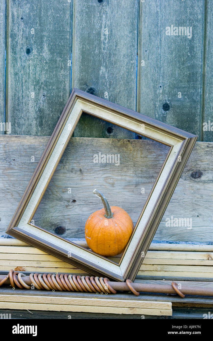 A pumpkin in a picture frame Stock Photo - Alamy