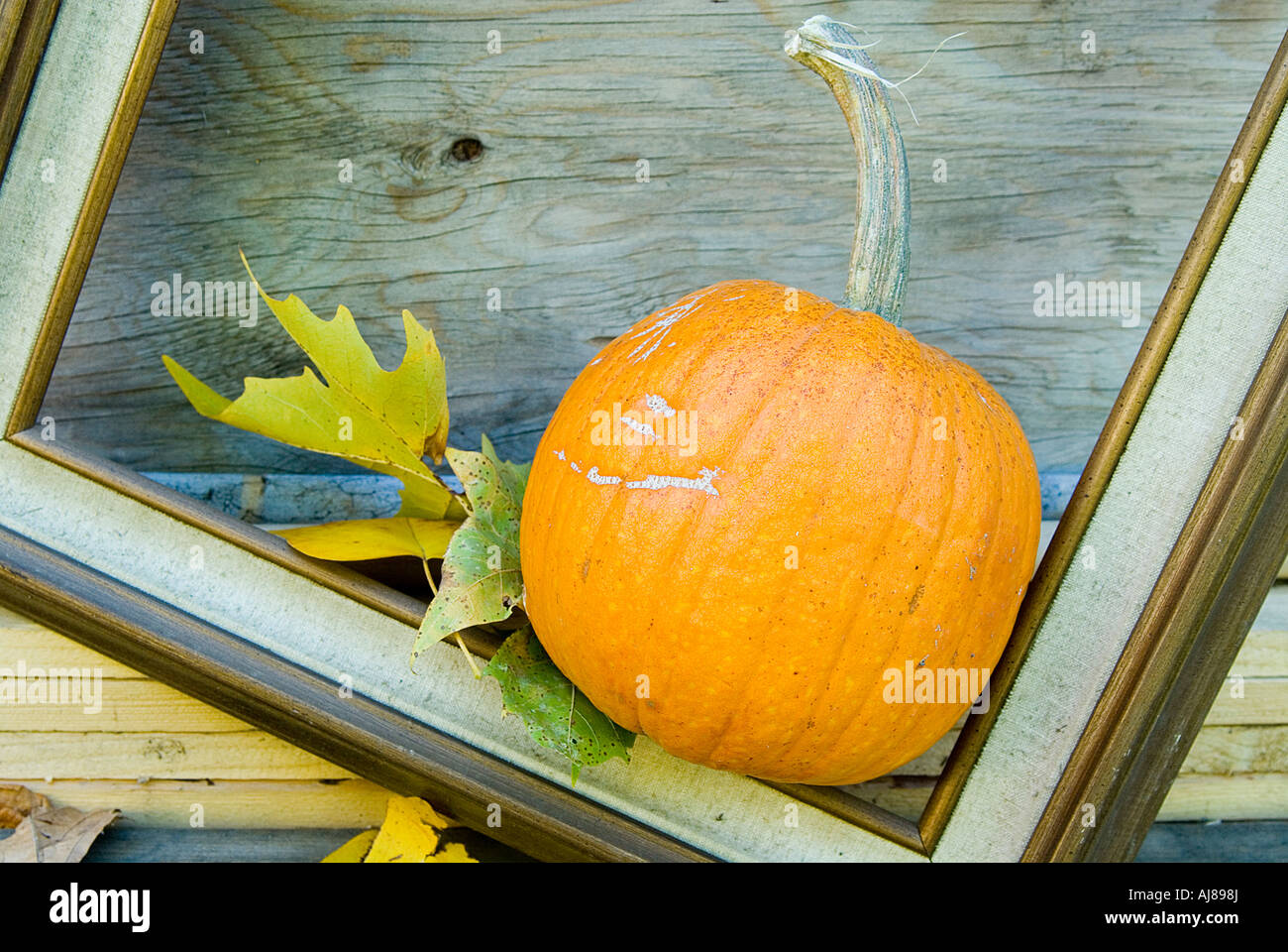 A pumpkin in a picture frame Stock Photo - Alamy