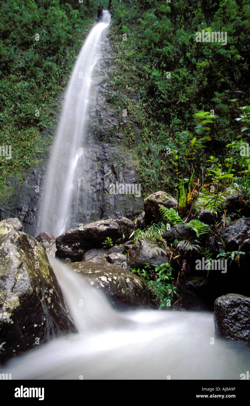 Water at Grand Etang Reunion Island Indian Ocean Stock Photo - Alamy