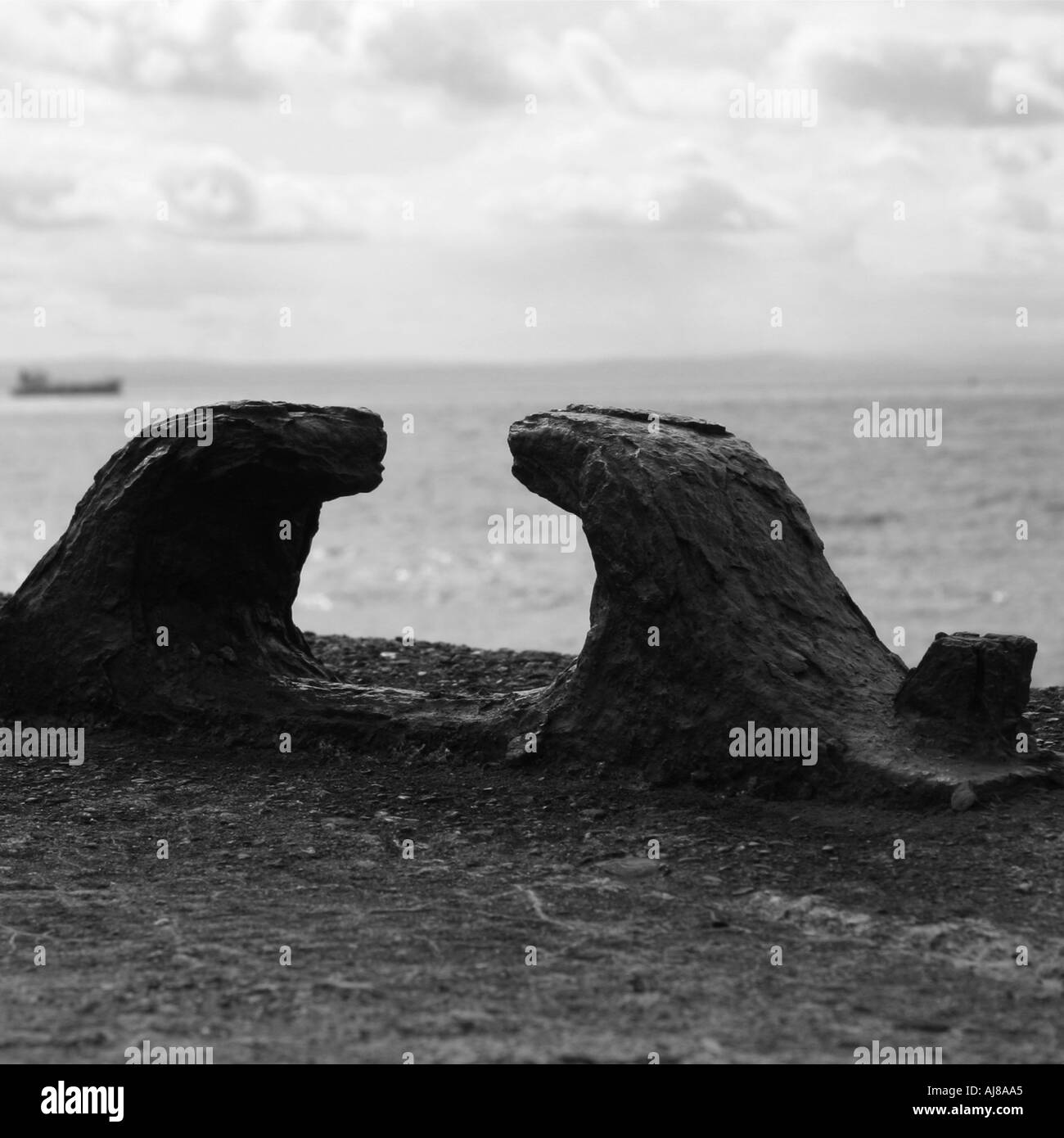 Front hook Black and White Stock Photos & Images - Alamy
