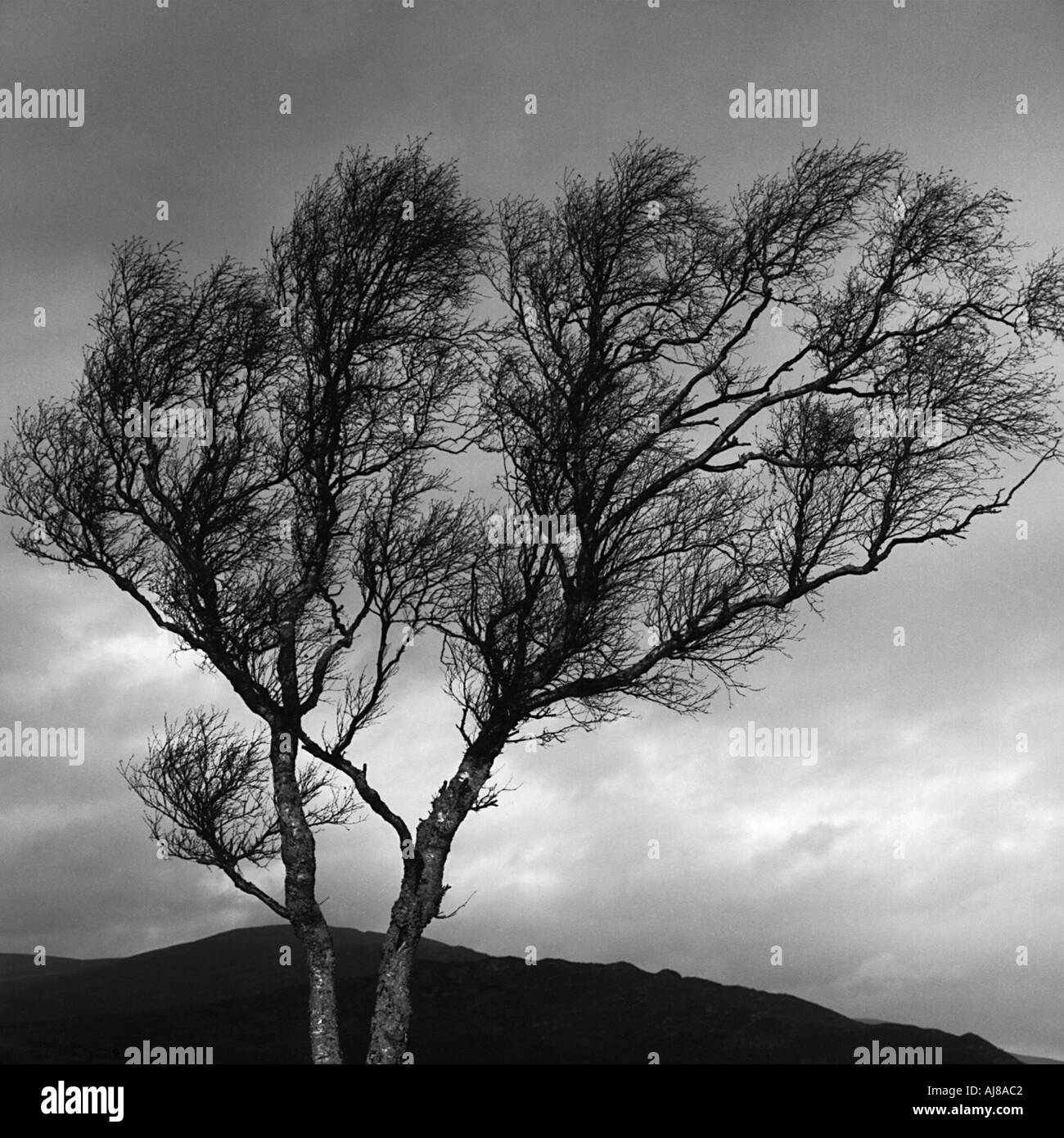 Windy black hi-res stock photography and images - Alamy