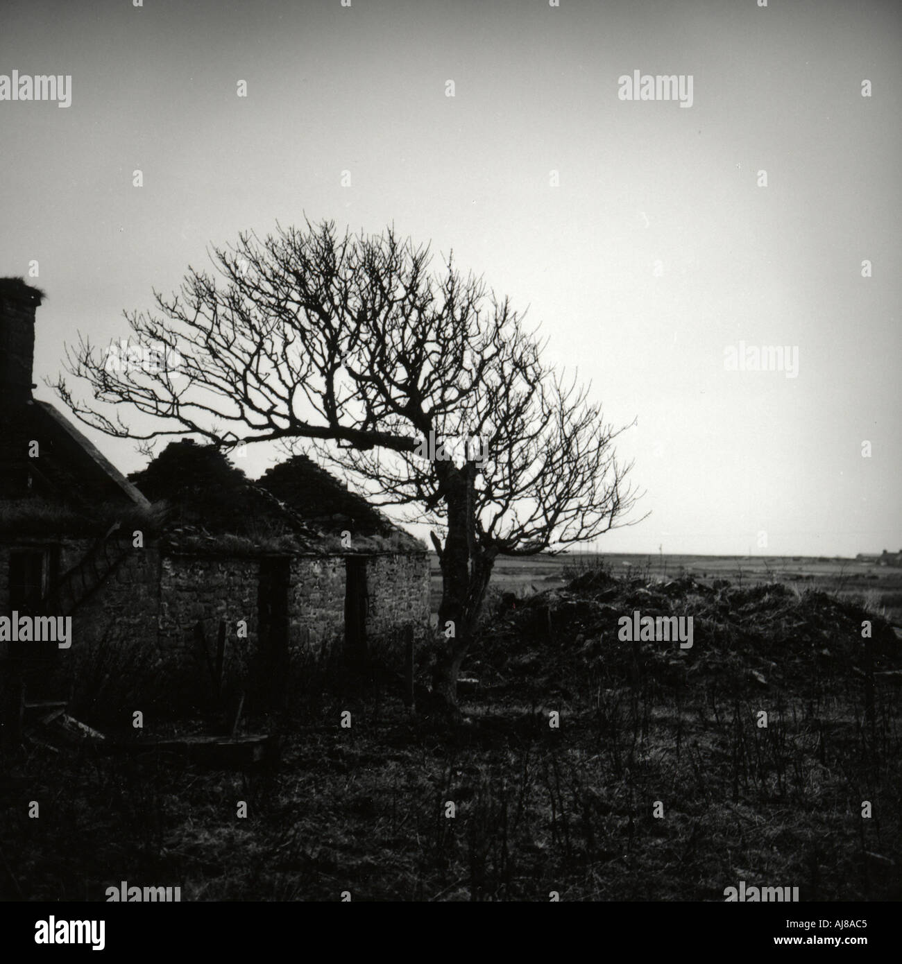 House wreck black and white hi-res stock photography and images - Alamy