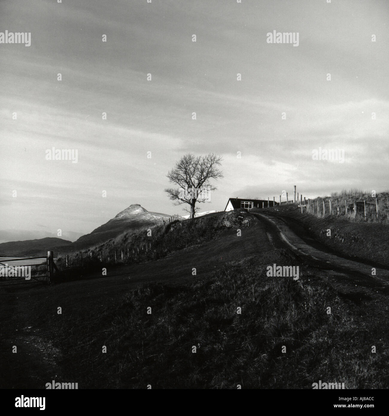 Path leading to cottage Stock Photo - Alamy