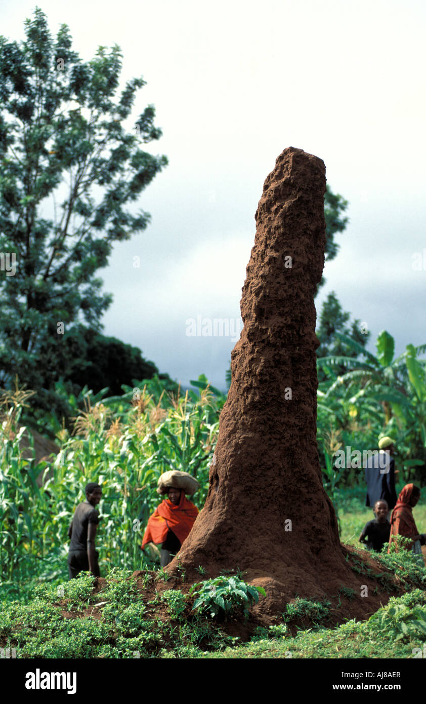 Babati hi-res stock photography and images - Alamy