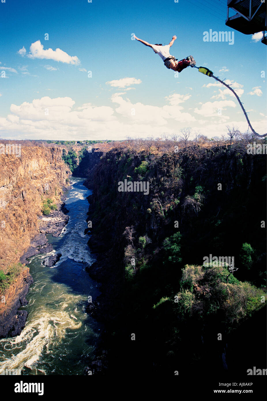 A young white man bungee jumping off the bridge at Victoria Falls ...