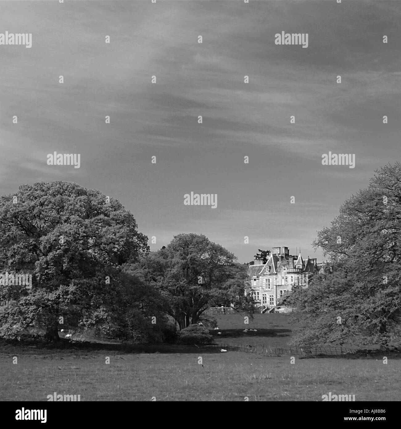 Country estate house in the distance Stock Photo - Alamy