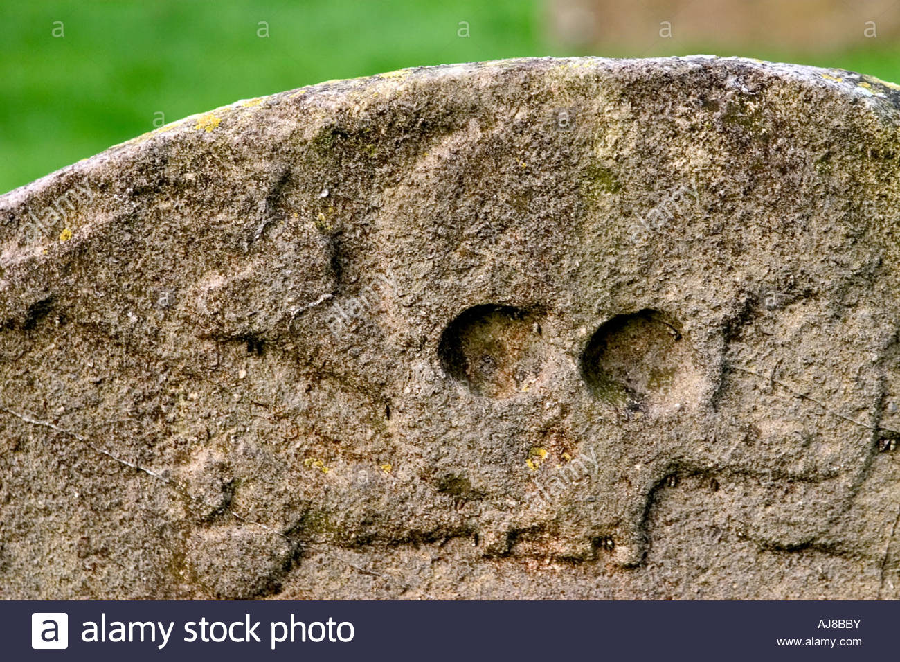 Skull Buried High Resolution Stock Photography and Images - Alamy