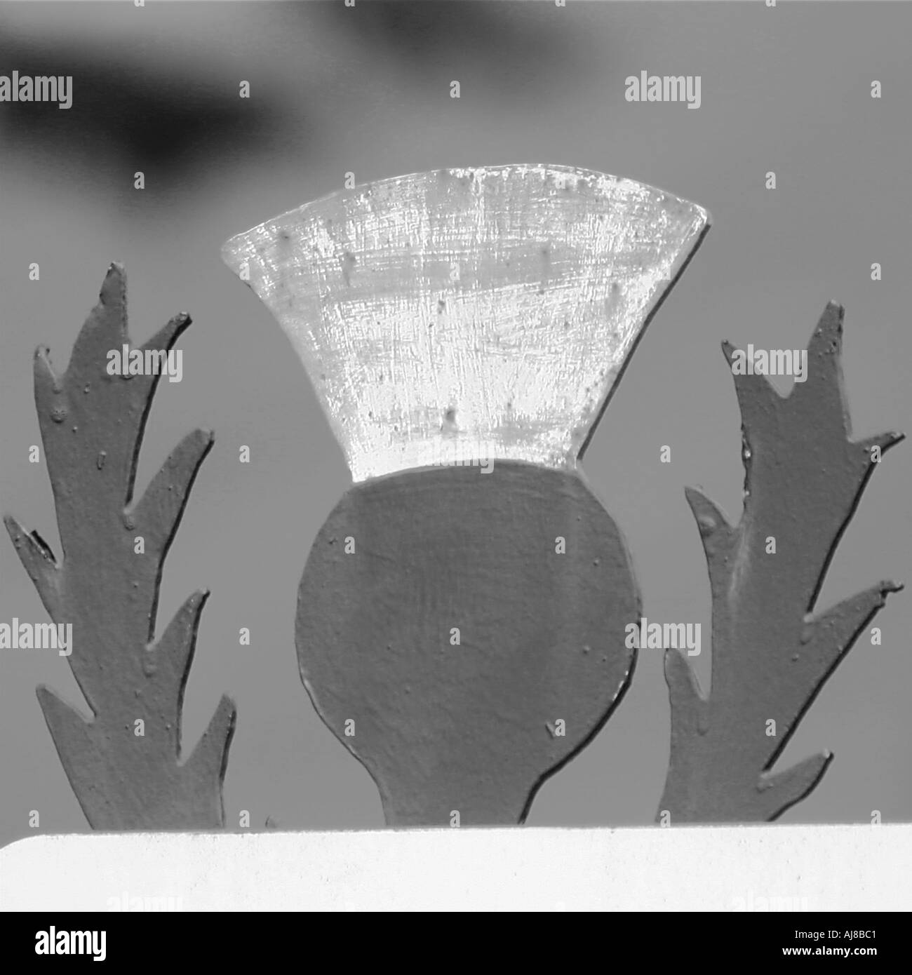 black and white thistle sign Stock Photo - Alamy