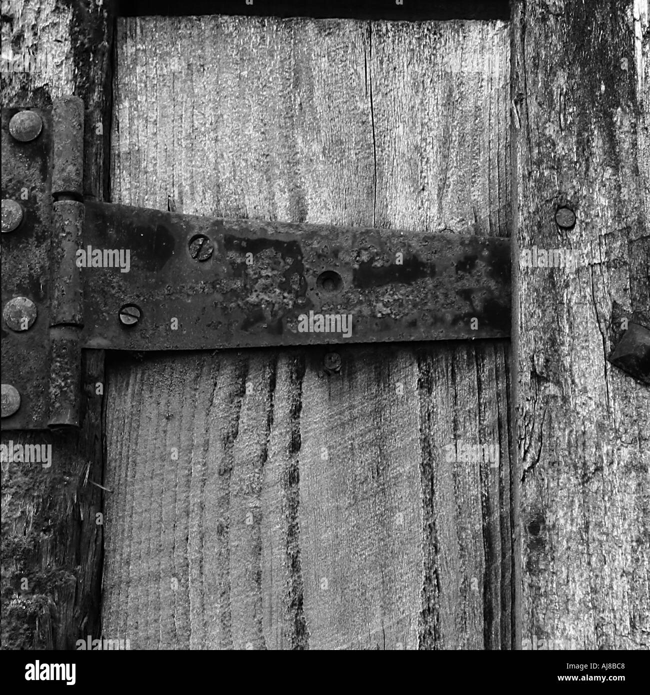 Hinge line hi-res stock photography and images - Alamy