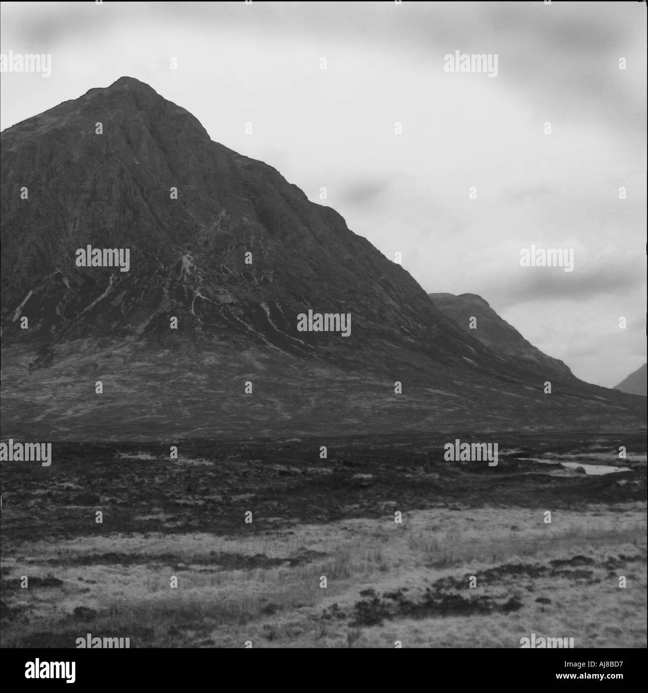 Heather scotland landscape view Black and White Stock Photos & Images ...