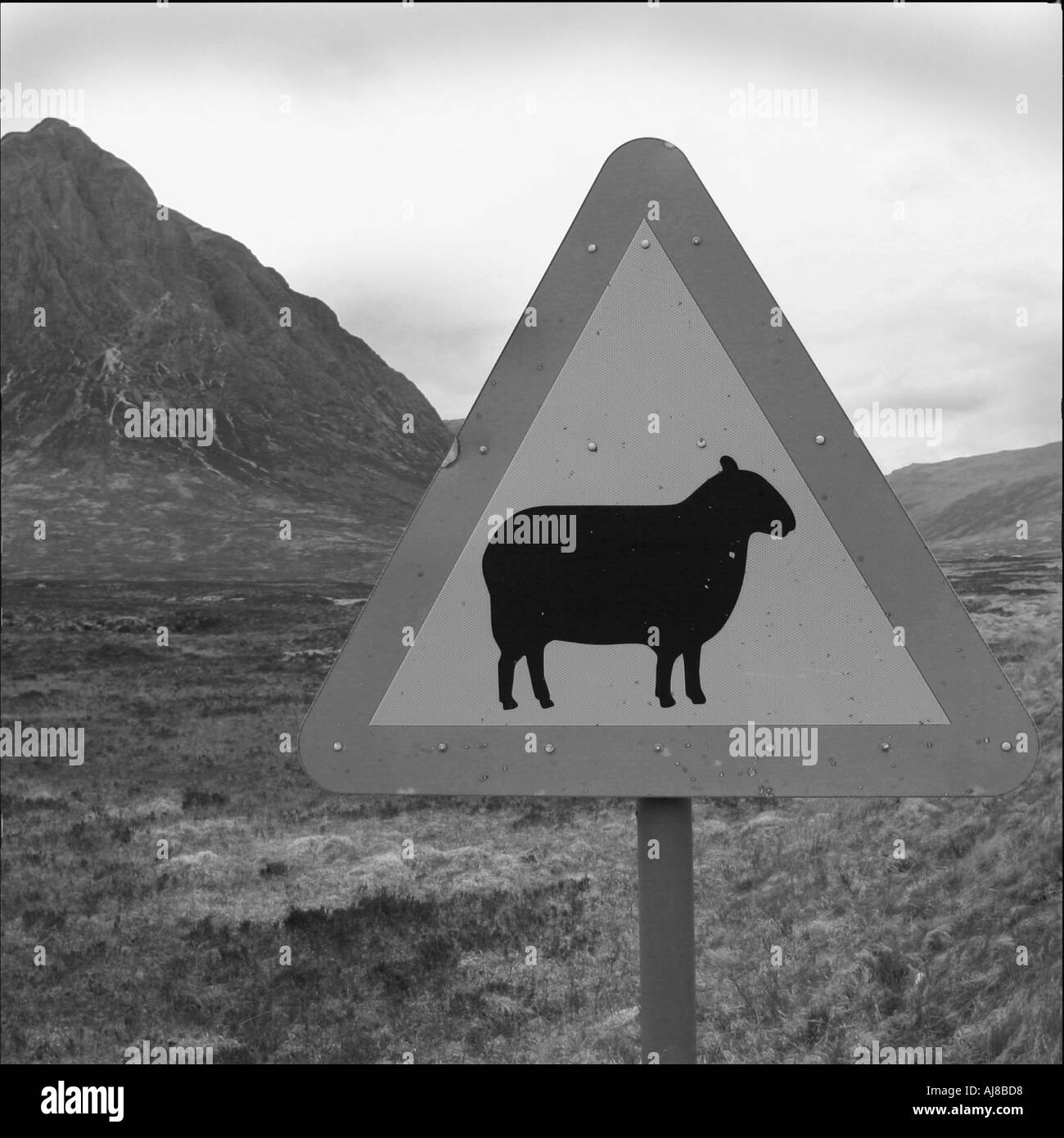 Scottish warning sign Black and White Stock Photos & Images - Alamy