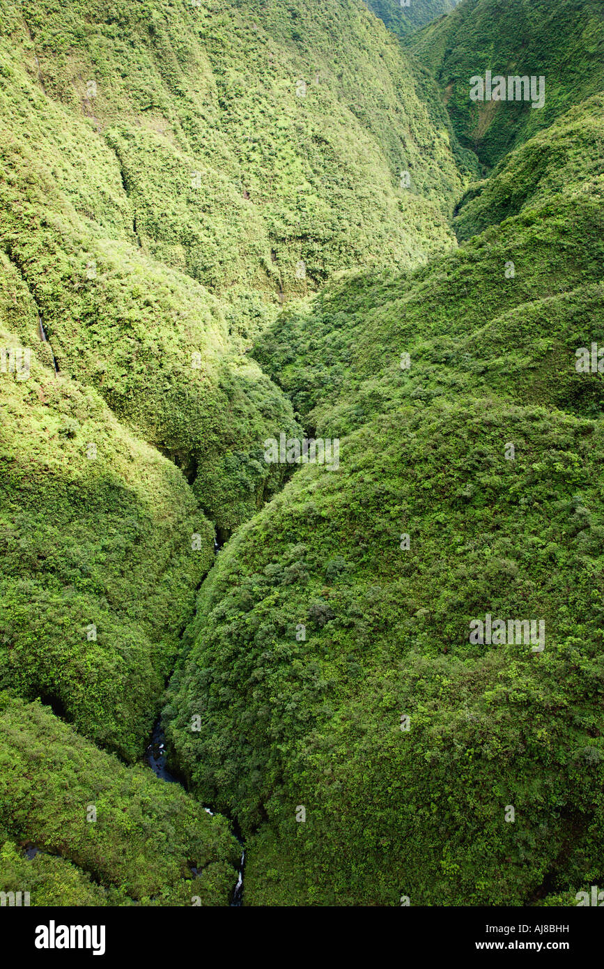 Aerial view of rainforest valley in Maui Hawaii Stock Photo - Alamy