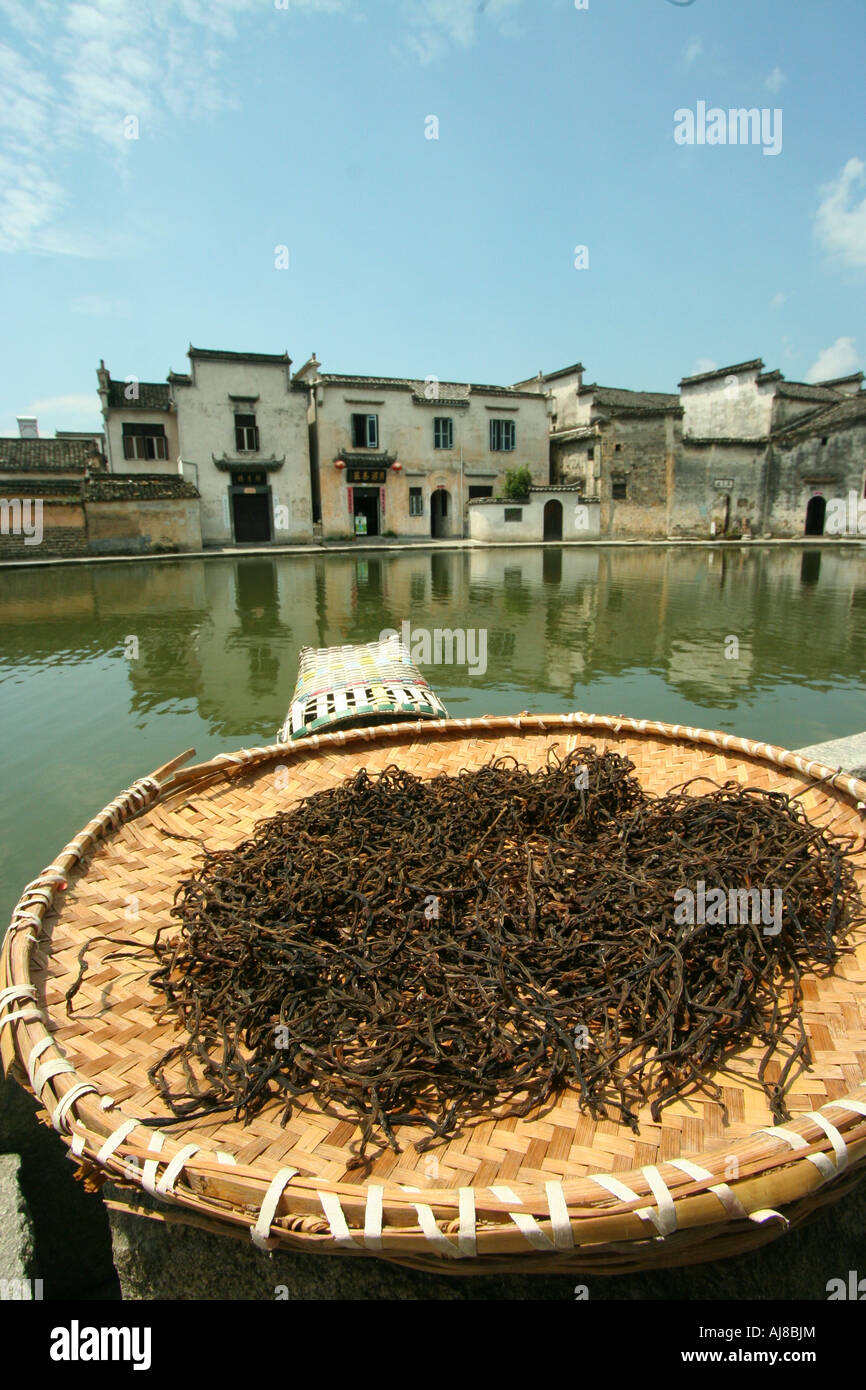 Herbs tea drying plate sunny hi-res stock photography and images - Alamy