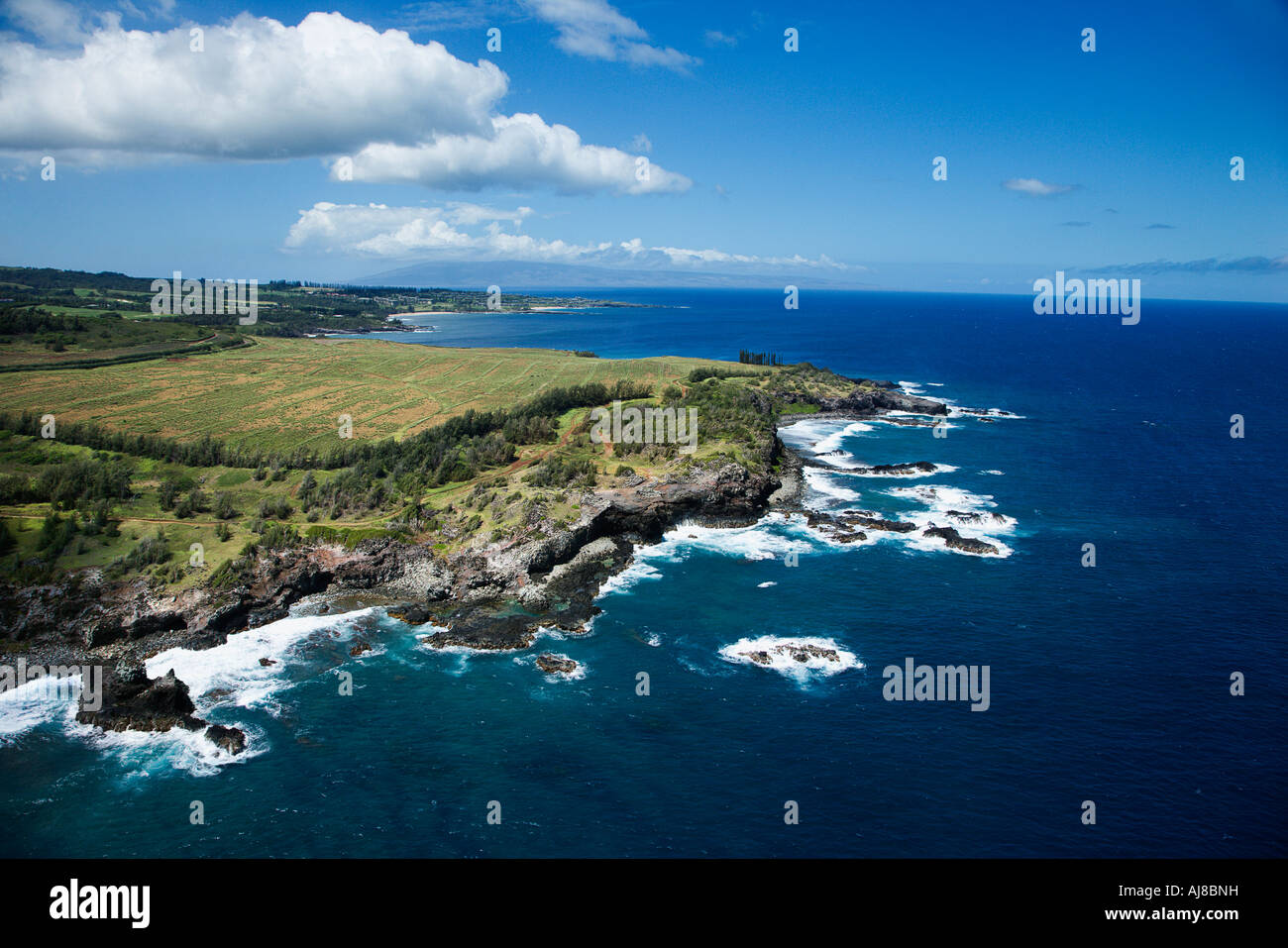 Aerial view of rocky Maui Hawaii coastline with crop fields Stock Photo ...