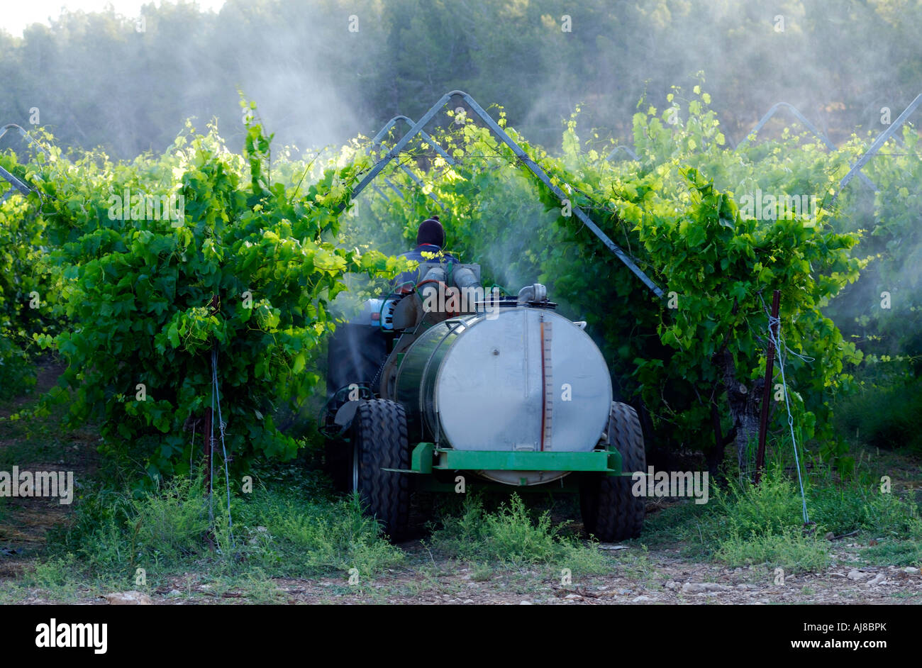 Pesticide spraying vineyard agriculture hi-res stock photography and ...