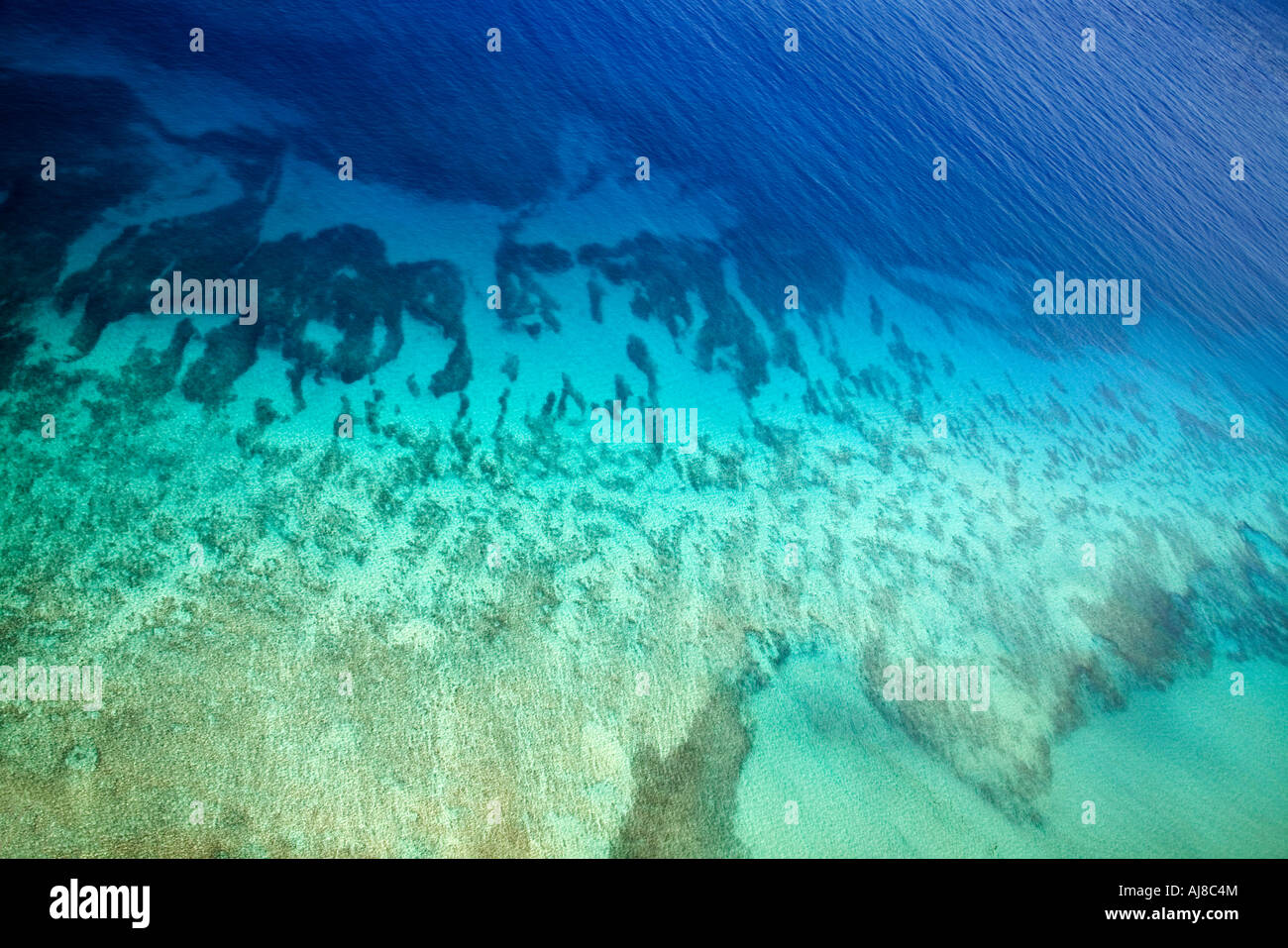Colorful tropical ocean floor seen through clear water Stock Photo - Alamy