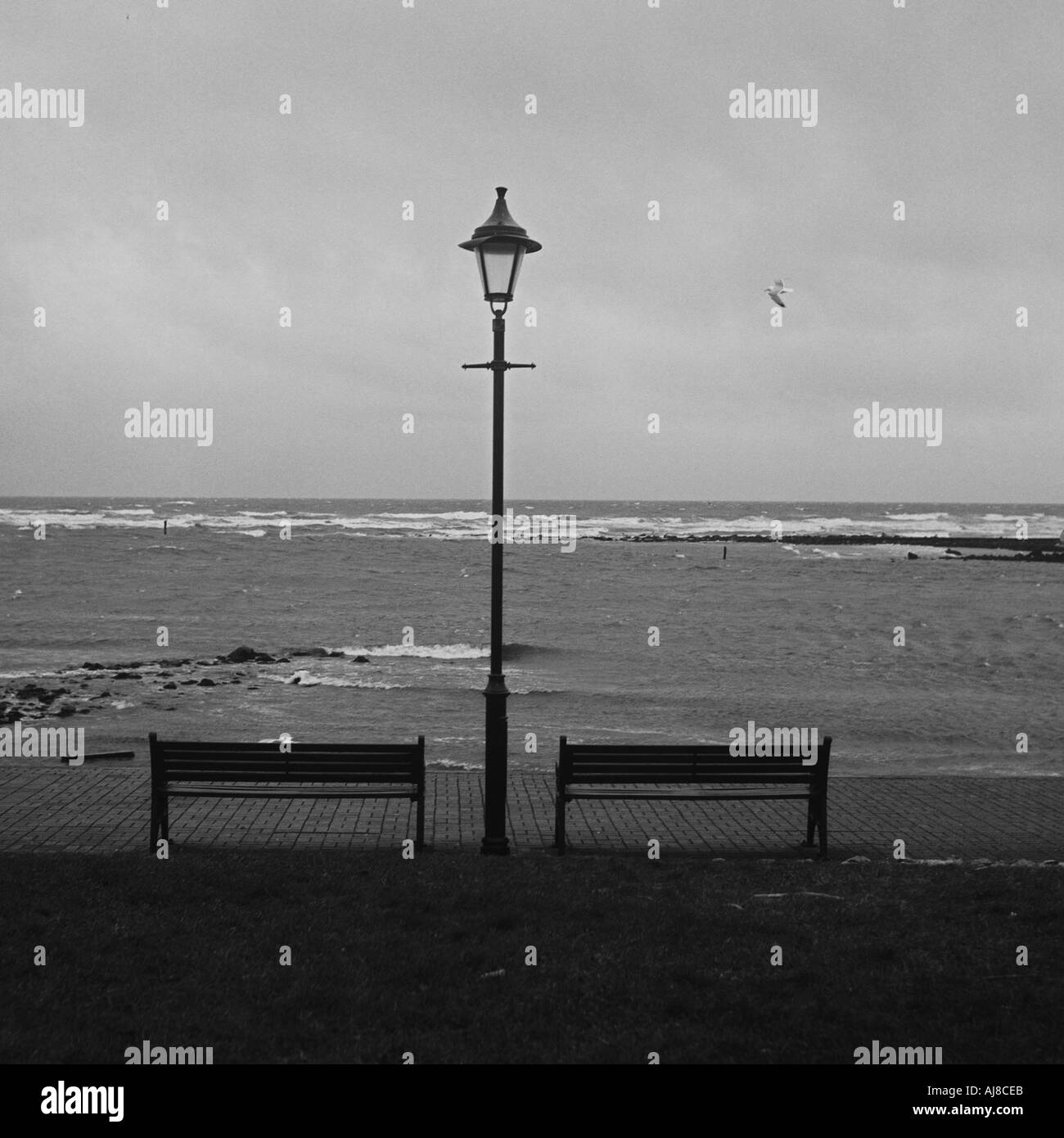 Two wood benches Black and White Stock Photos & Images - Alamy