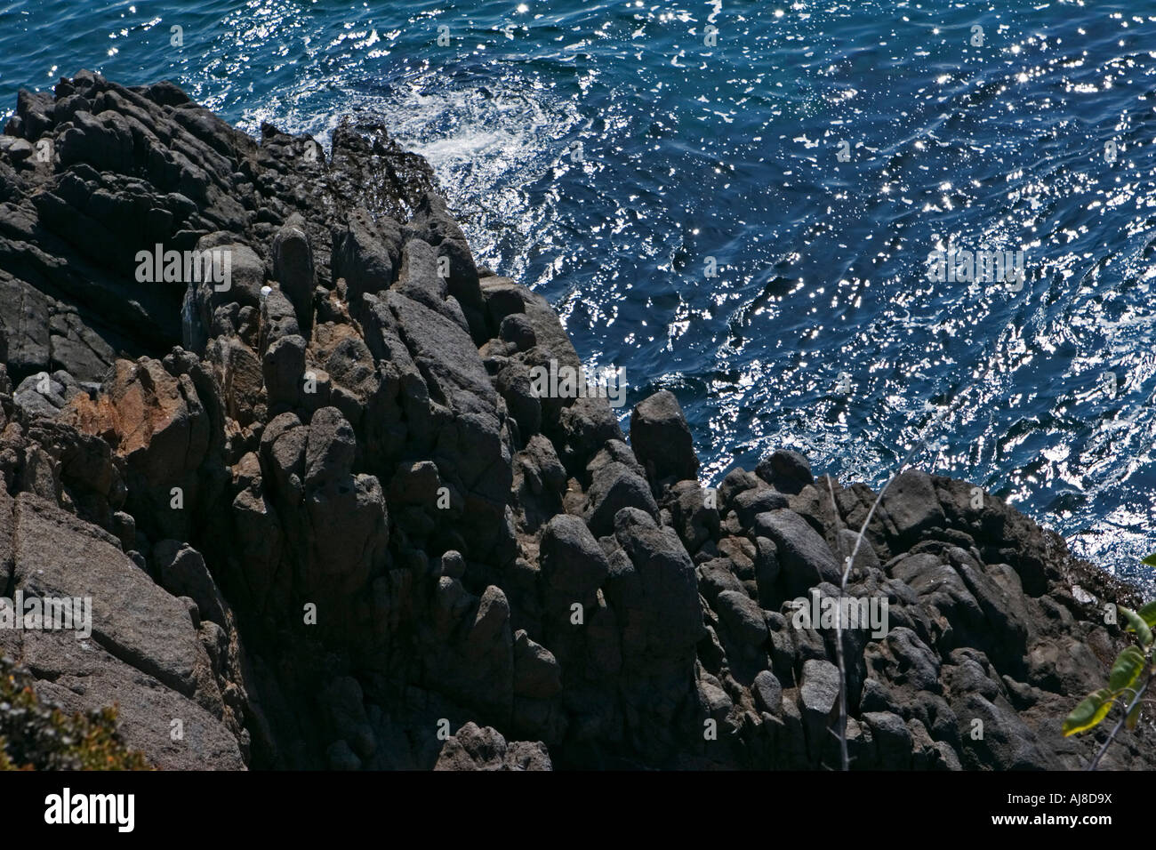 Pacific ocean Mexico la Bufadora Stock Photo - Alamy