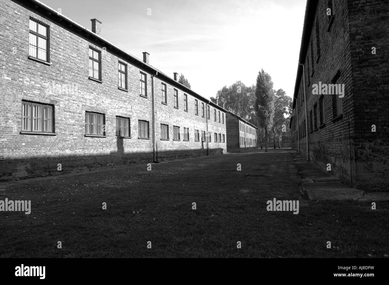 Auschwitz blocks Black and White Stock Photos & Images - Alamy