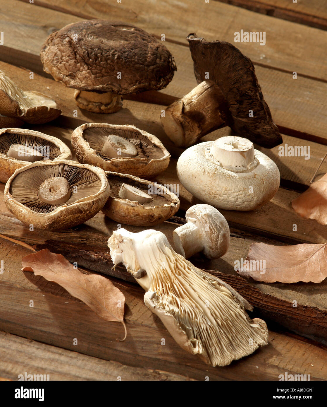 Different types of cultivated edible mushrooms on a wooden background ...