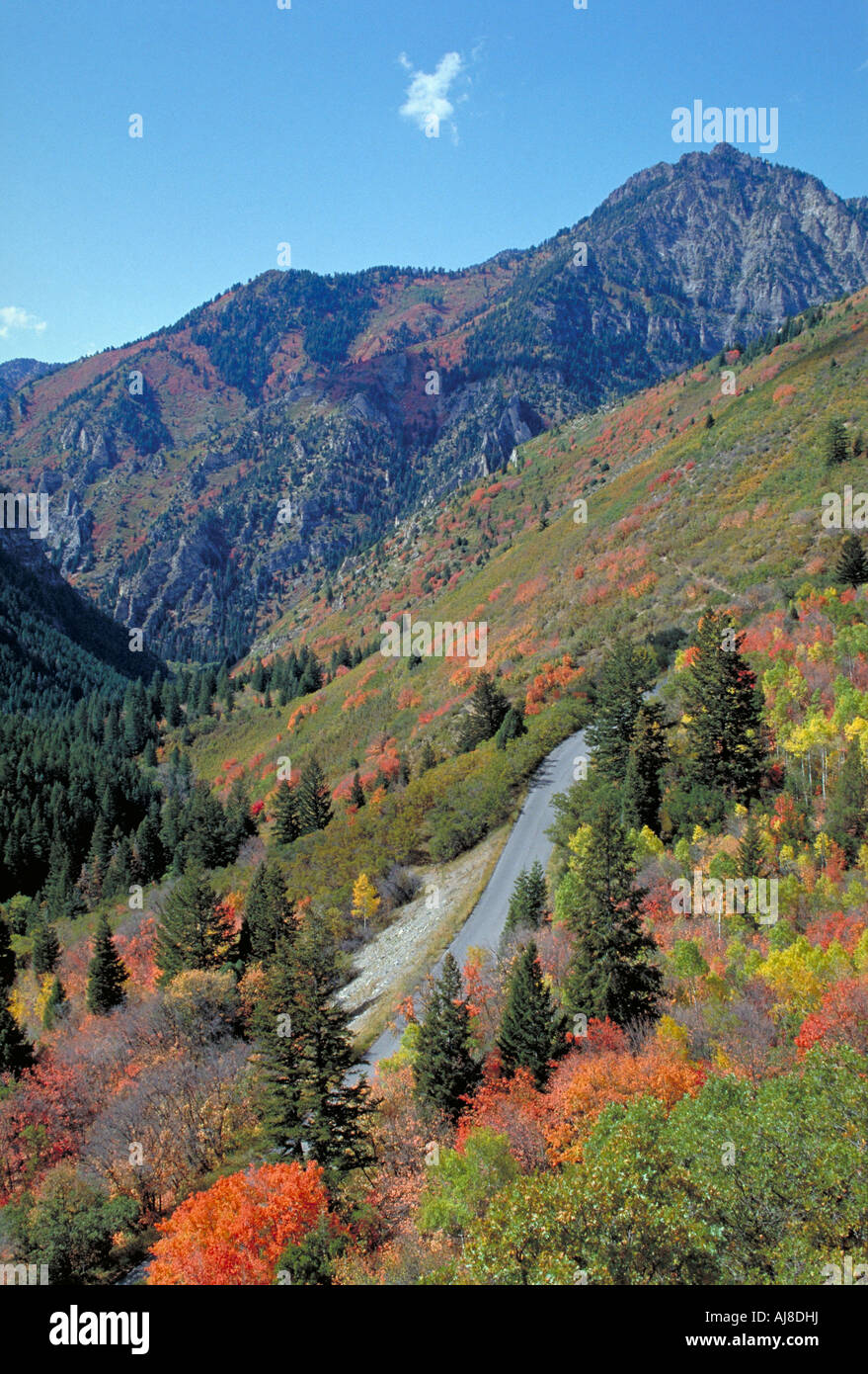 Alpine loop utah hi-res stock photography and images - Alamy
