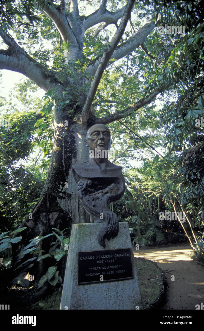 Bust of Mexican poet Carlos Pellicer and giant ceiba tree at the Parque ...