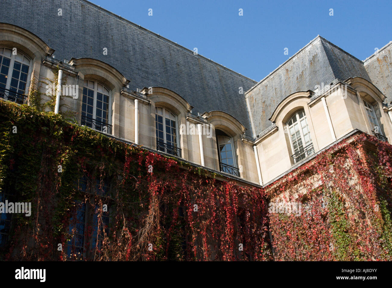 Ivy clad walls hi-res stock photography and images - Alamy