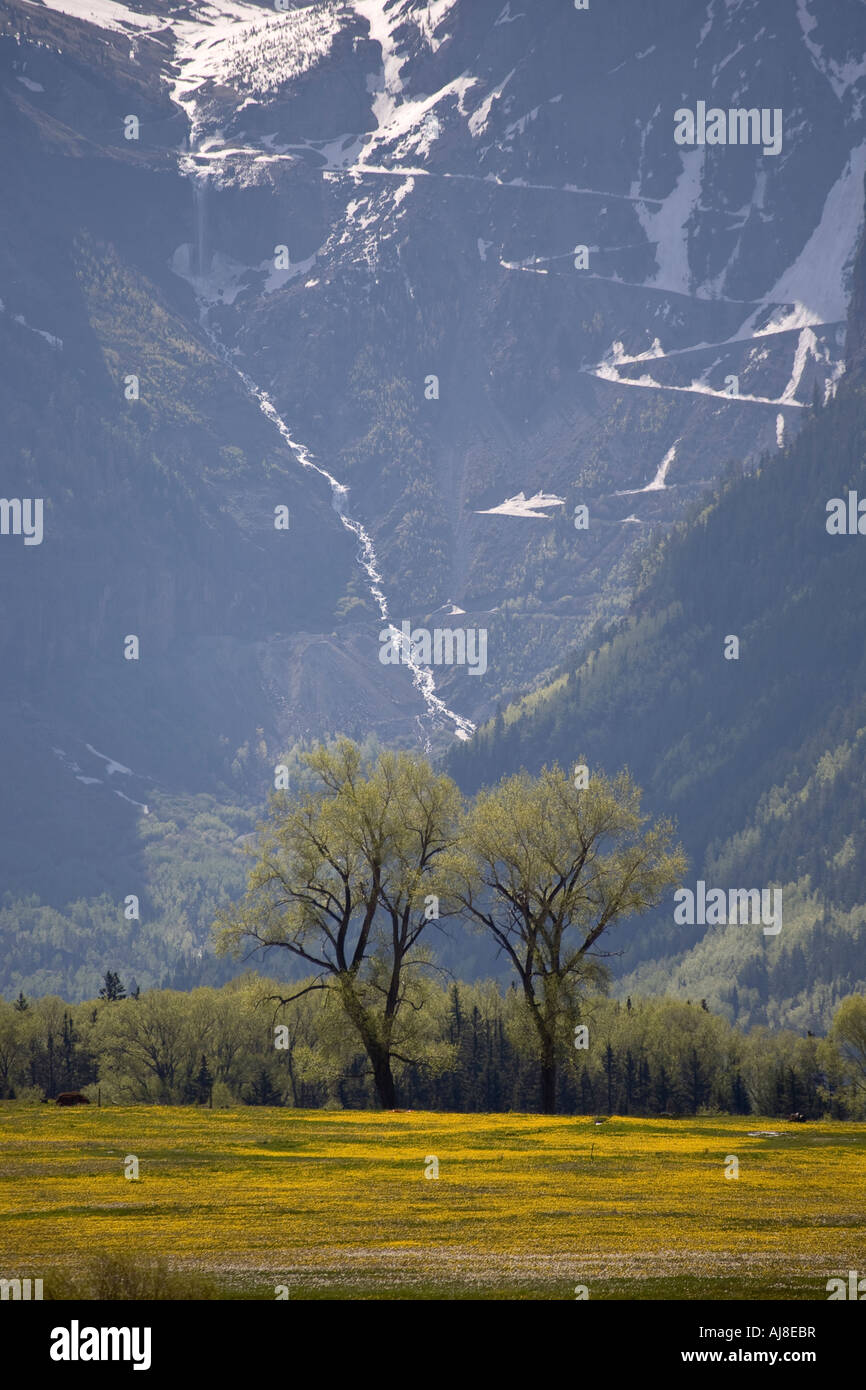 valley floor telluride colorado Stock Photo - Alamy